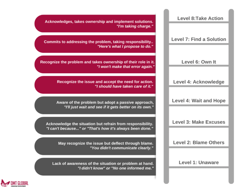 Avoiding or Embracing Accountability? - OMT Global